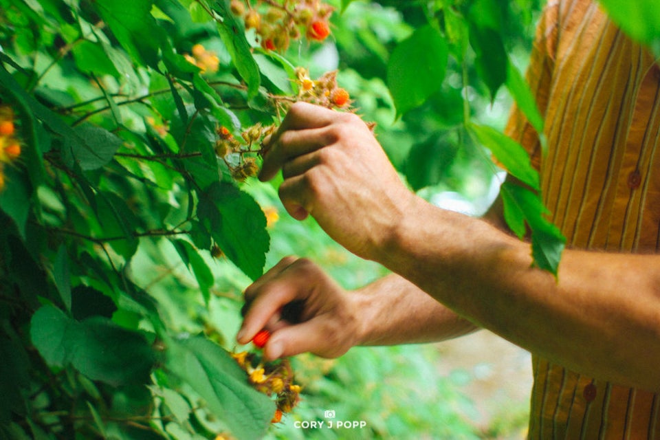 Professional Foragers Live The Most Beautiful Lives | HuffPost Life