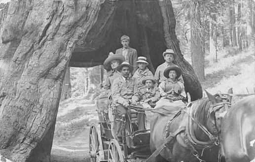 These Photos Prove That Yosemite Has Always Been Beautiful | HuffPost Life