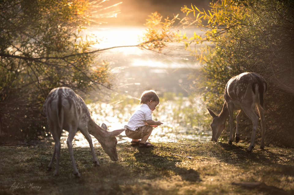 Dad Captures Beautiful Photos Of Son's Childhood After Almost Losing ...