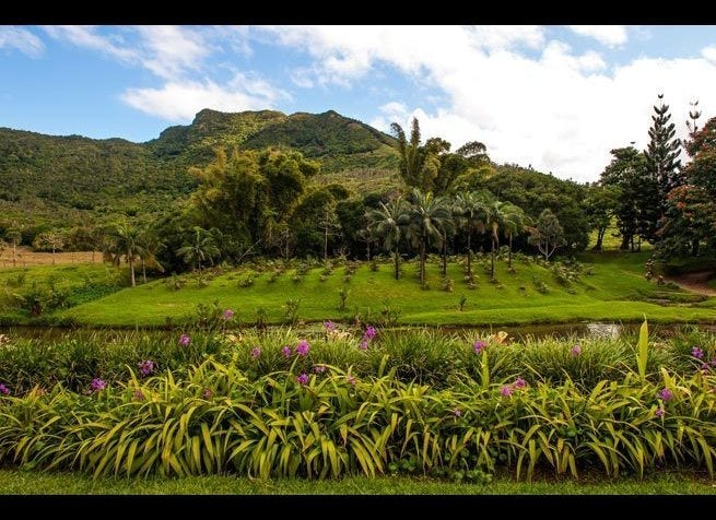 10 Reasons To Take The Family To Mauritius | HuffPost Life