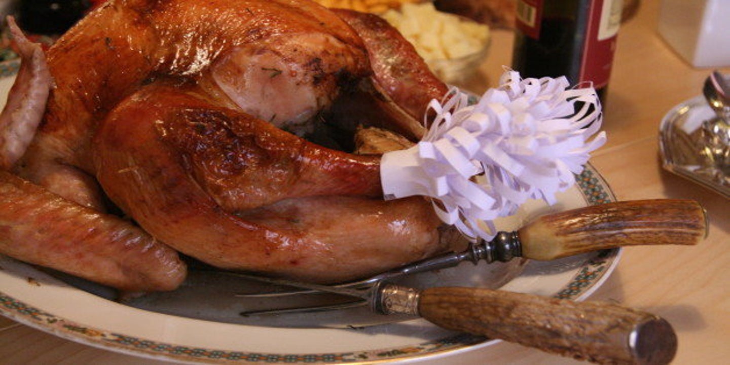 Turkey Booties Explained, For Everyone Who's Wondering | HuffPost Life
