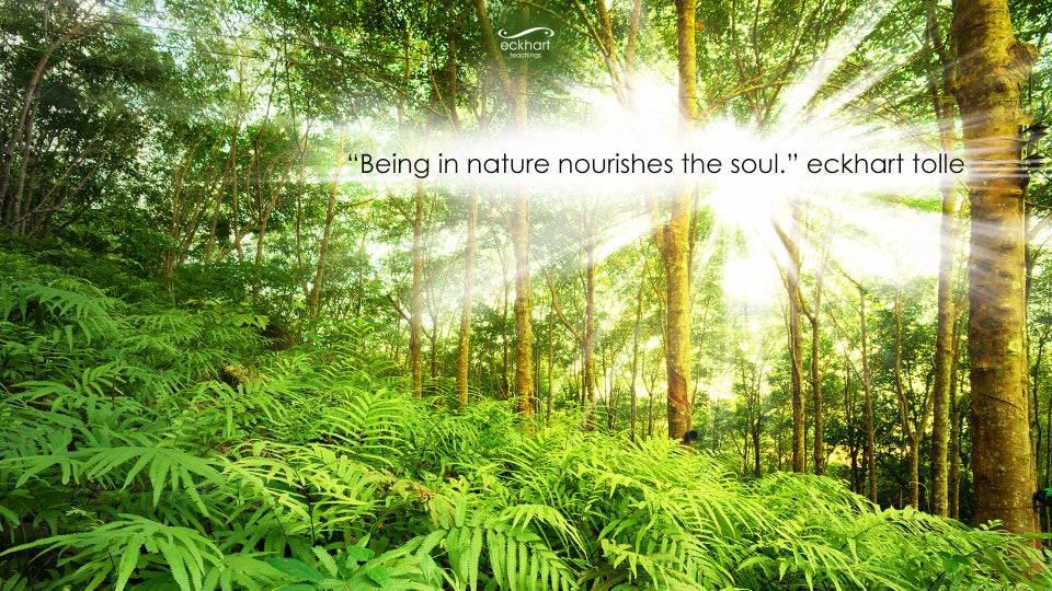 Eckhart Tolle's Guide To Finding Peace Through Nature | HuffPost Life