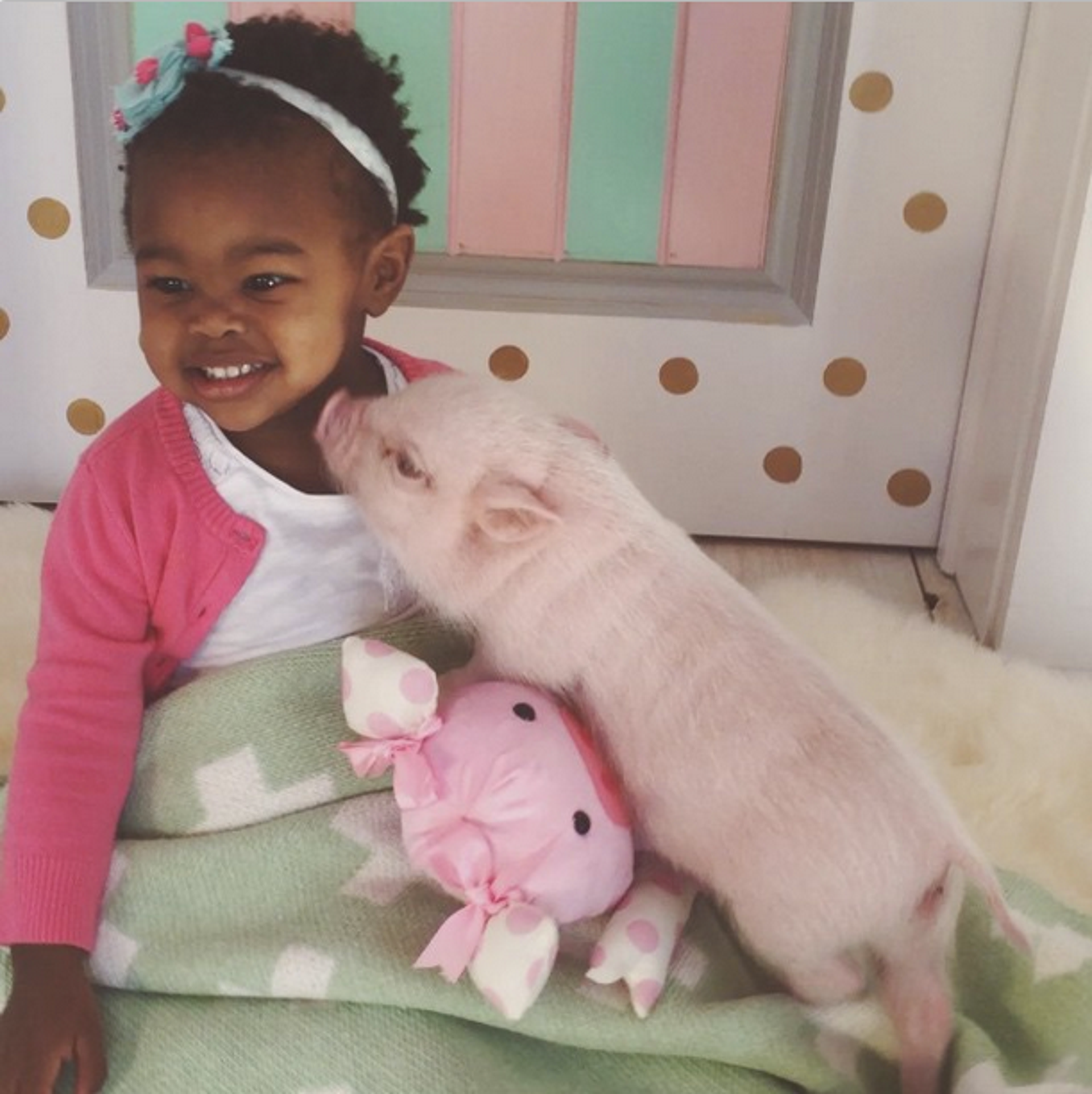 The Precious Bond Between 2-Year-Old Libby And Her Pet Pig Named Pearl ...