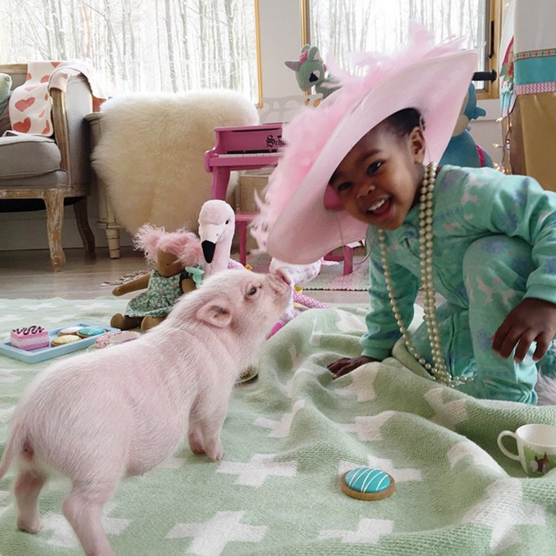 The Precious Bond Between 2-Year-Old Libby And Her Pet Pig Named Pearl ...