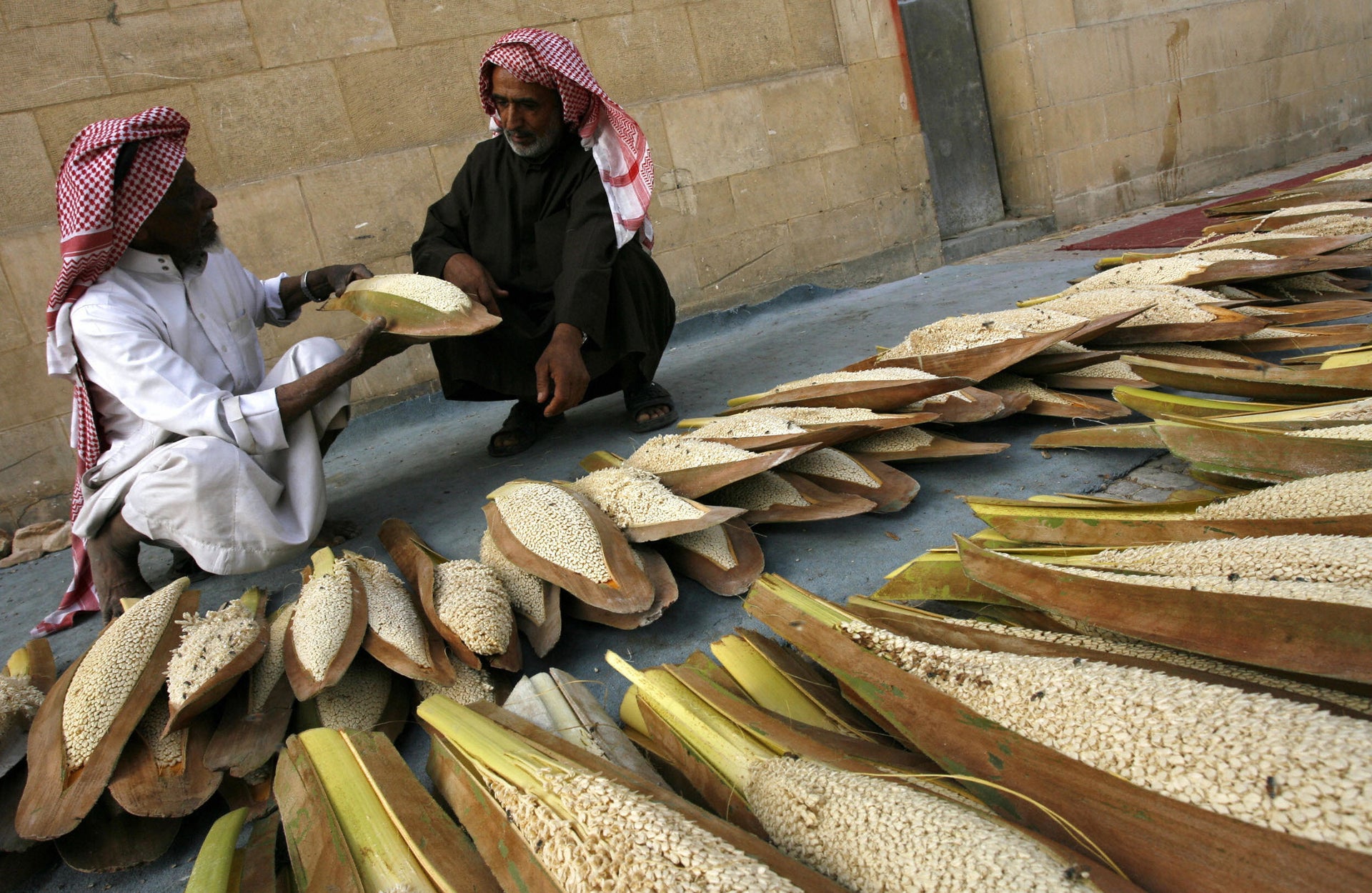 So How Exactly Do Dates Grow, Anyway? | HuffPost Life