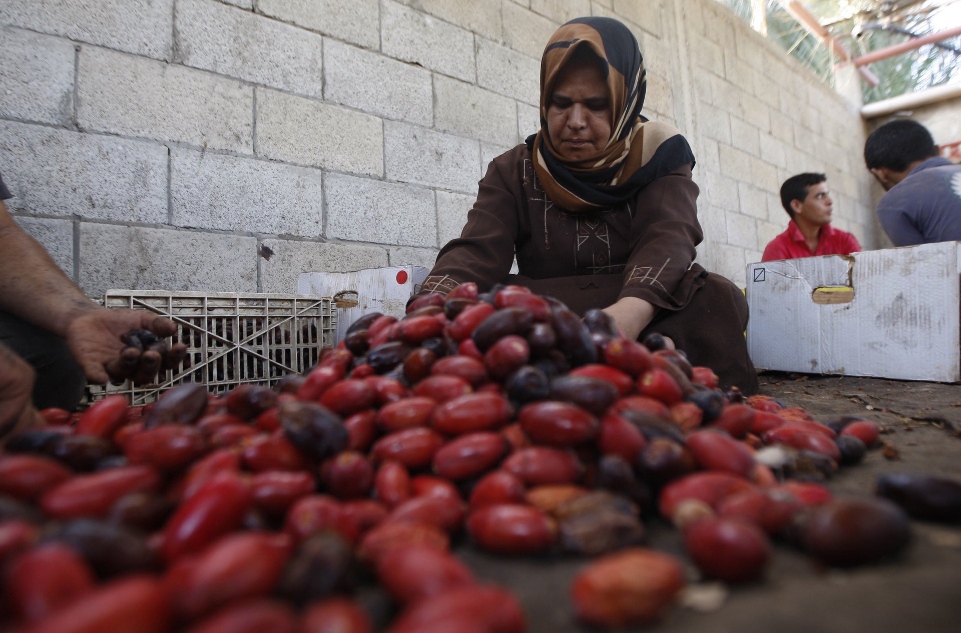 So How Exactly Do Dates Grow, Anyway? | HuffPost Life