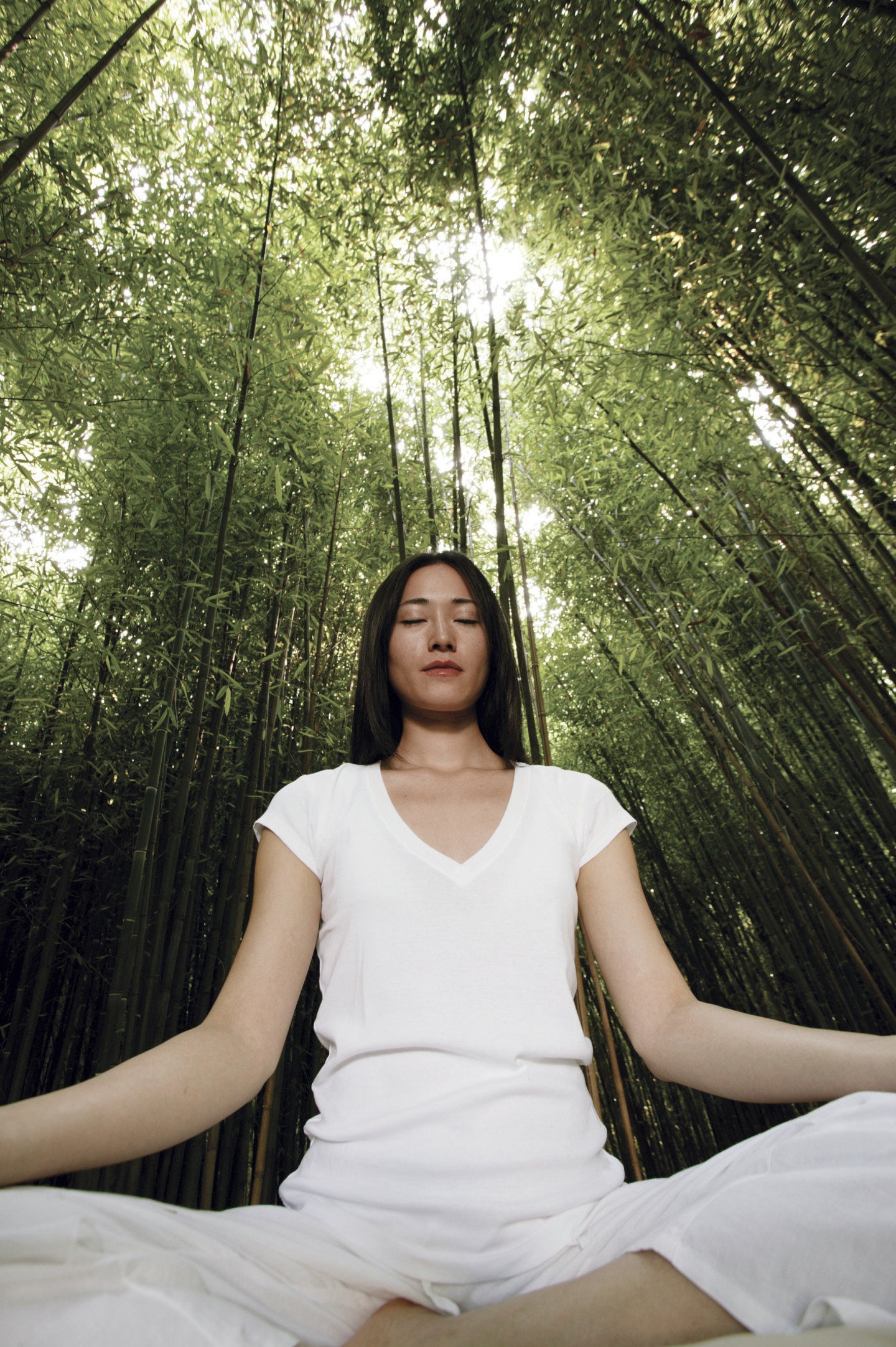 Spiritual Ecology: The Solution to Our Climate Change Crisis ...