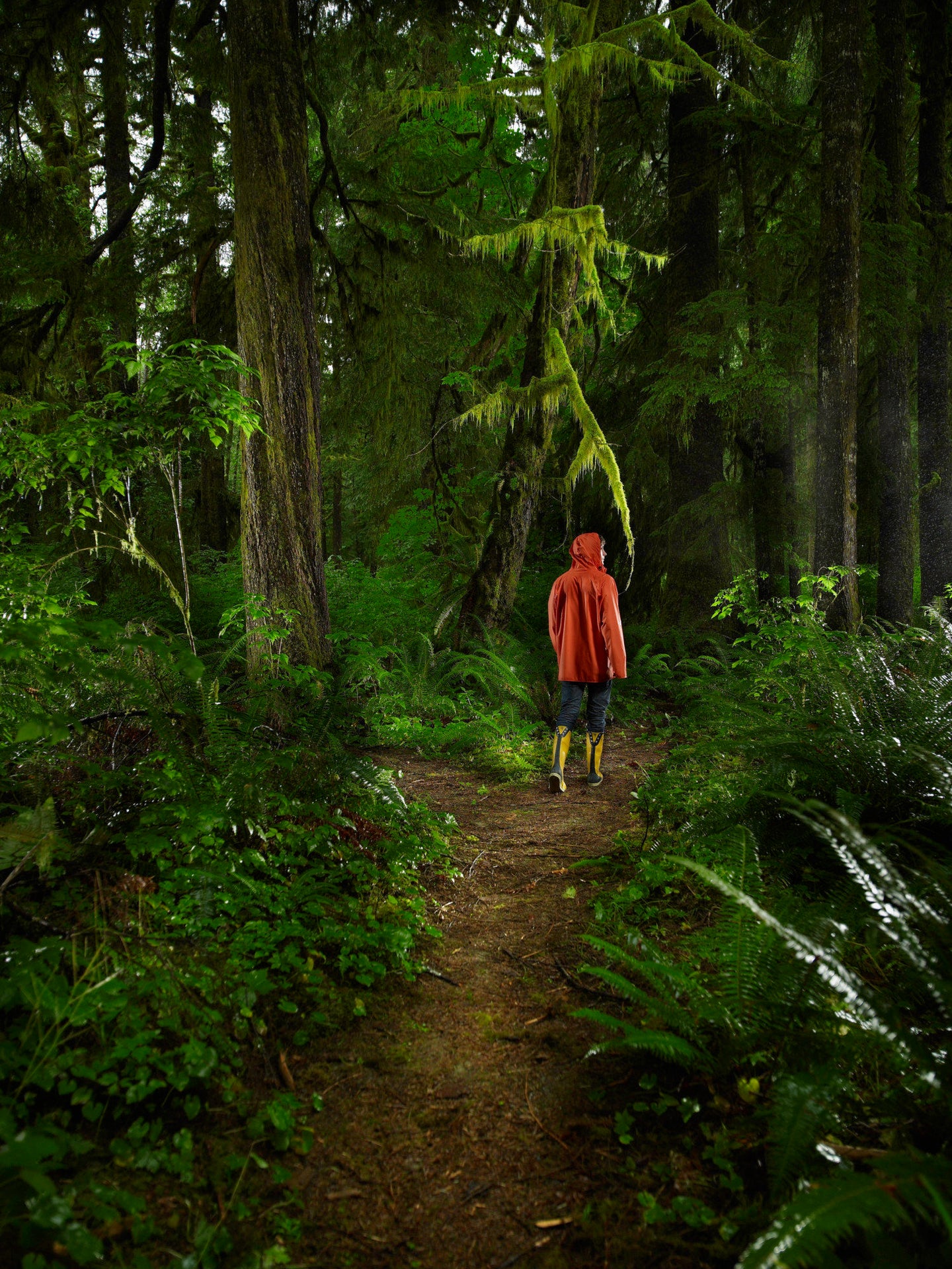 The Familiarity Heuristic: How Sticking with What You Know Could Hurt ...