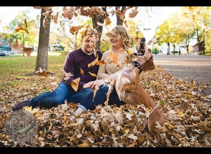 Dogs Photobombing Owners' Engagement Photos Is the Best Thing You'll ...
