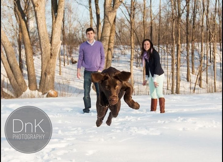 Dogs Photobombing Owners' Engagement Photos Is the Best Thing You'll ...