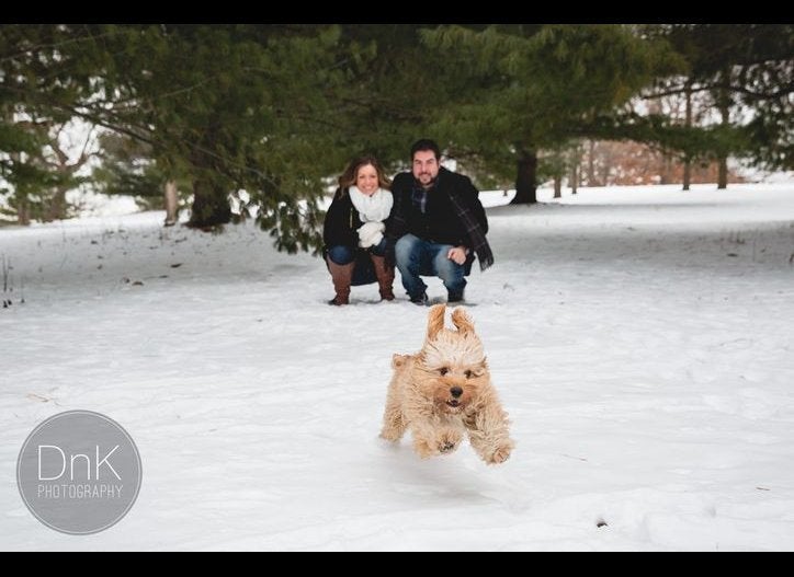Dogs Photobombing Owners' Engagement Photos Is the Best Thing You'll ...