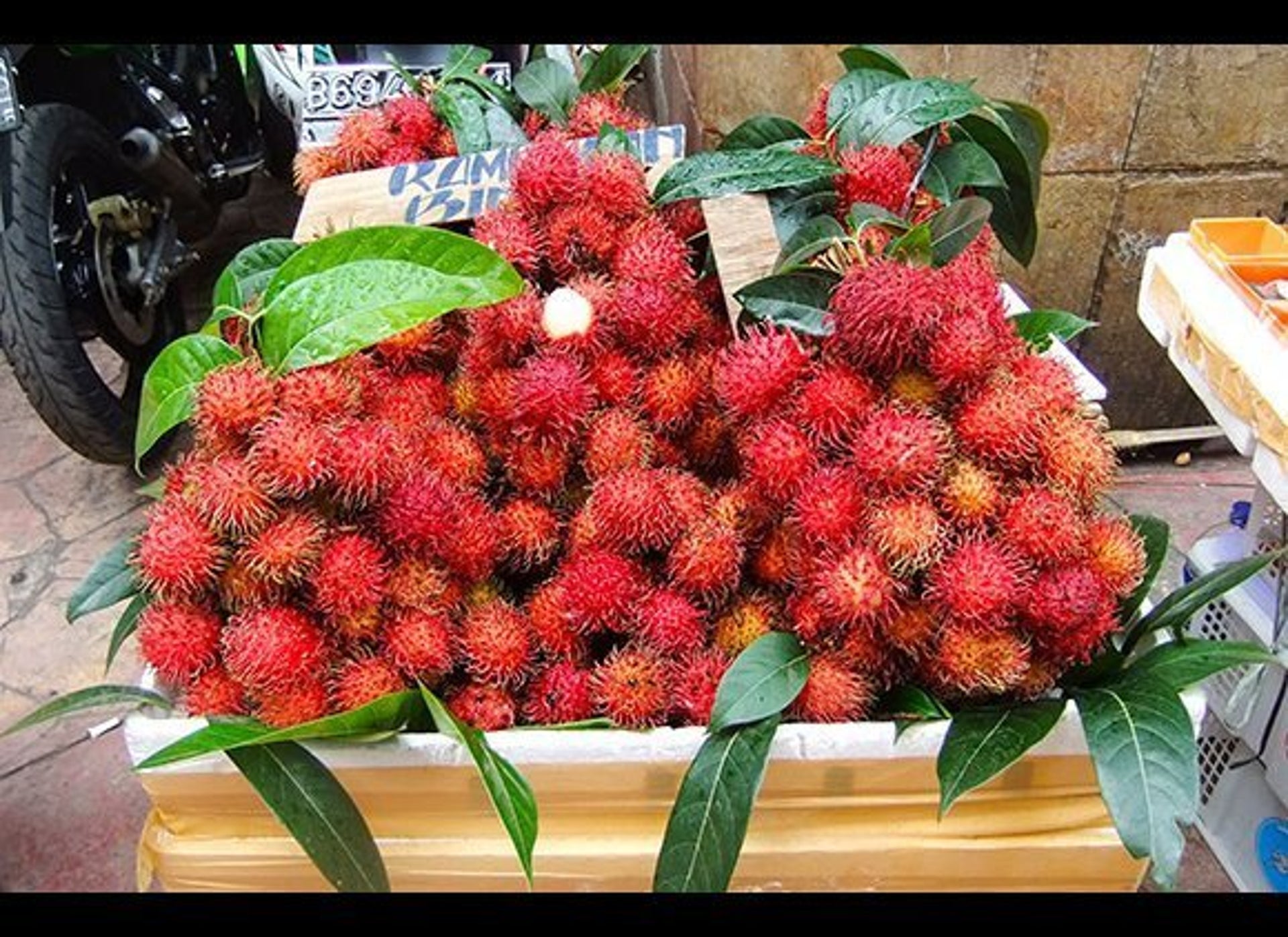 14 Bizarre Fruits from Around the World | HuffPost Life
