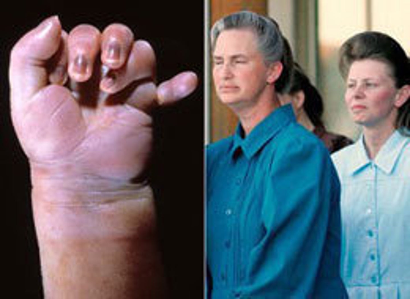 Polygamist Sects: How They Avoid Inbreeding Problems | HuffPost Life