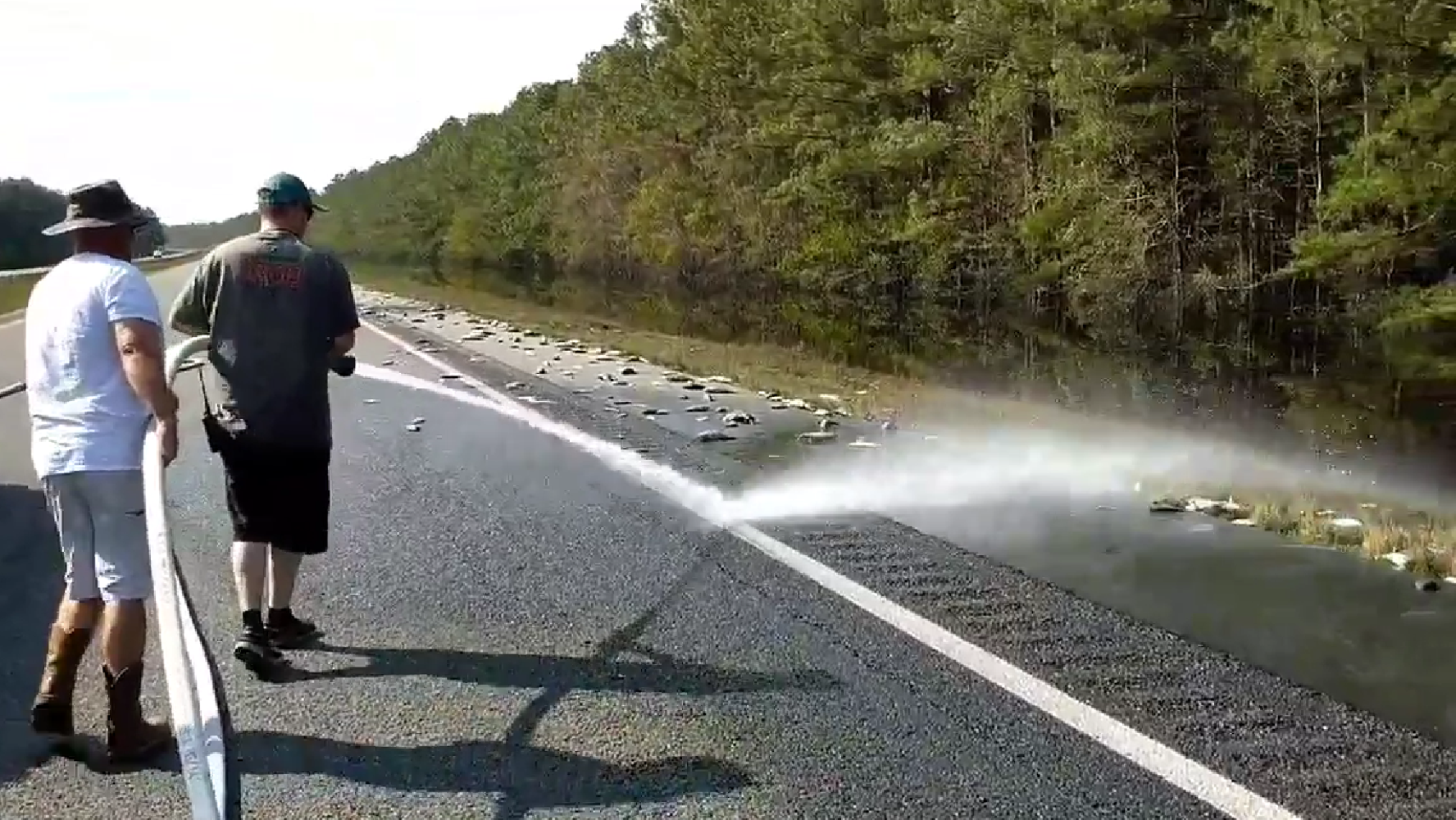 Interstate Left Covered In Fish After Hurricane Florence Floodwaters ...