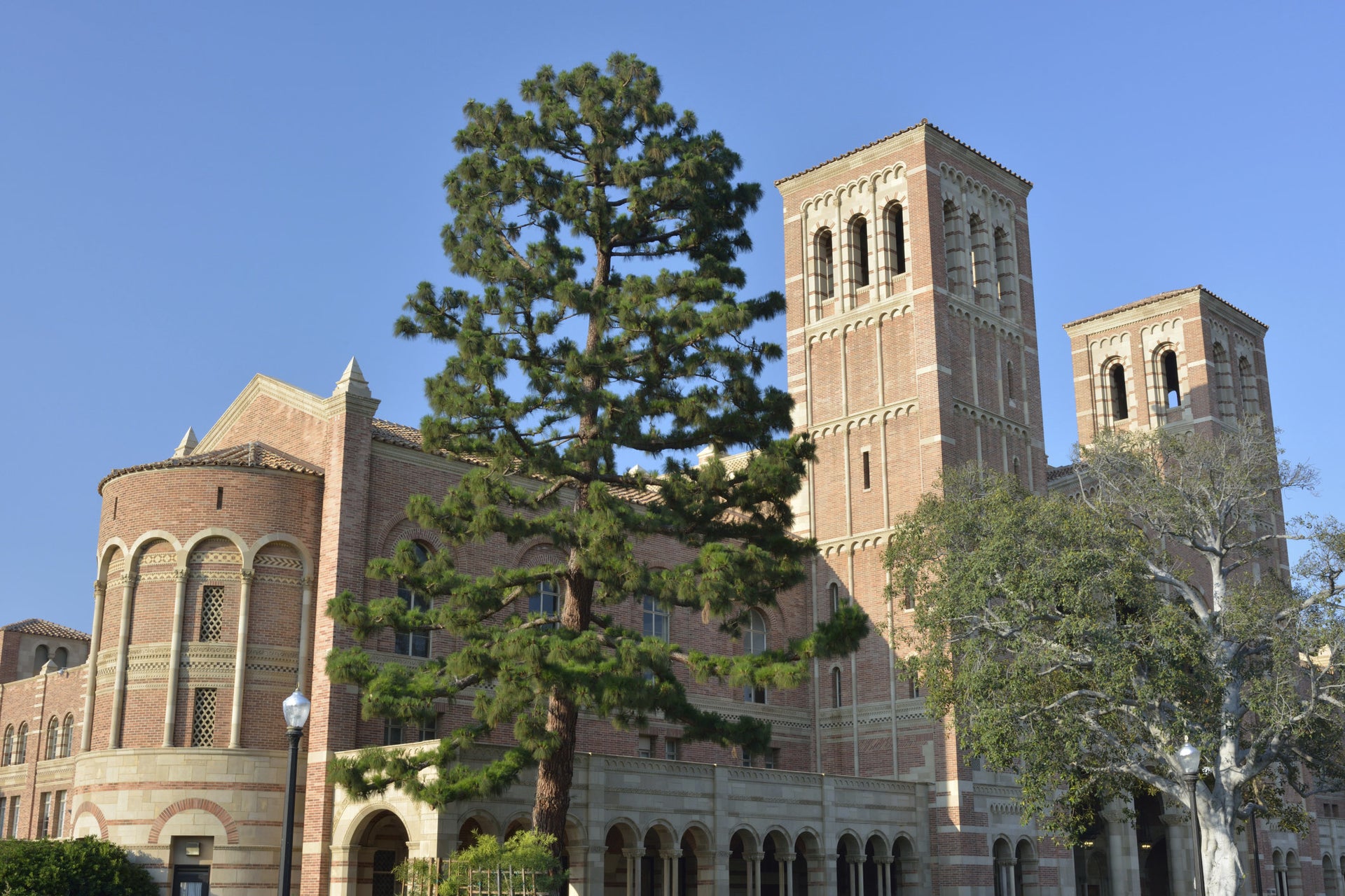 Somebody Give This High Schooler An Award For Her (Fake) Harvard ...