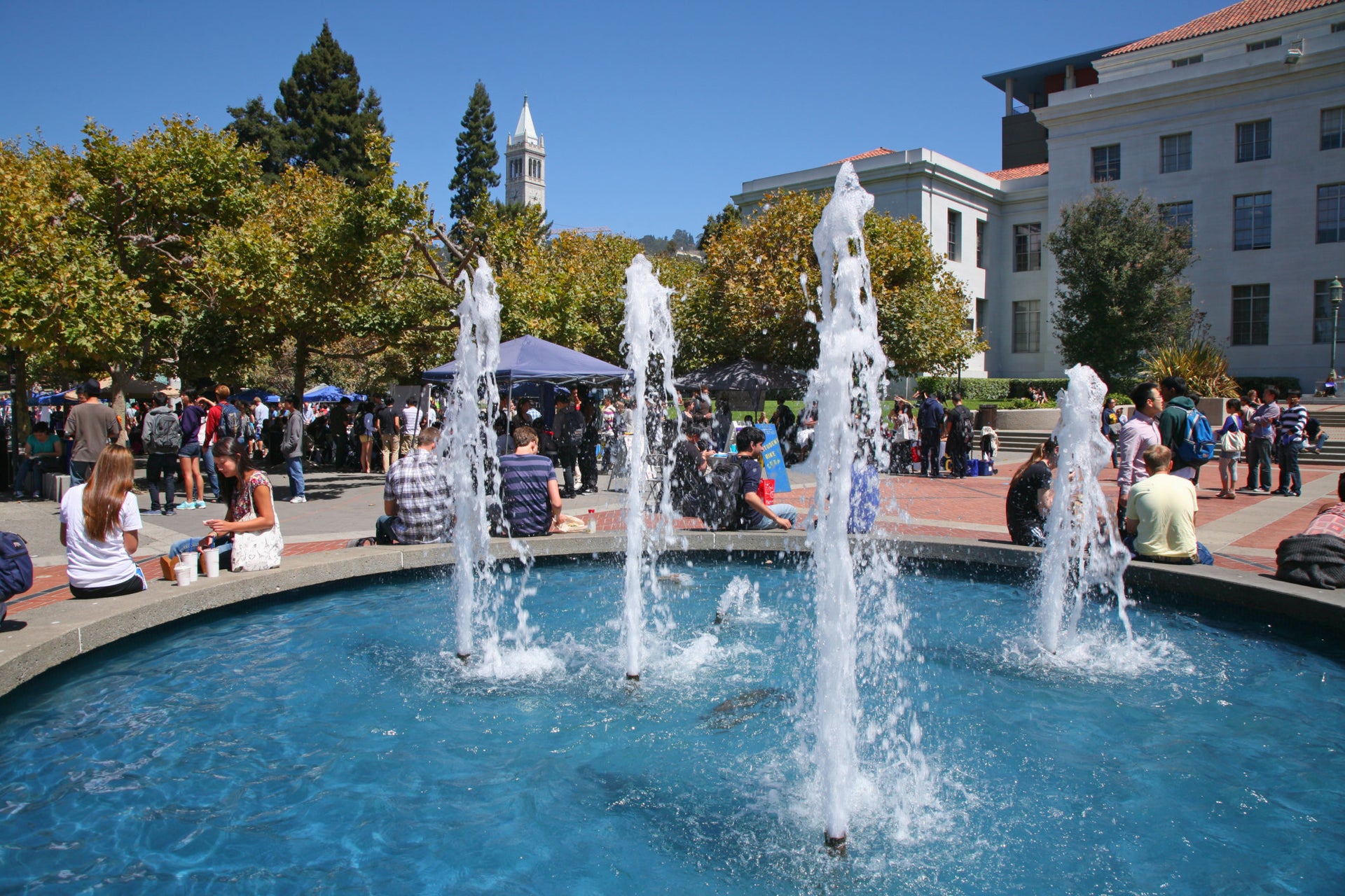 Somebody Give This High Schooler An Award For Her (Fake) Harvard ...