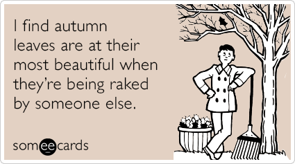 The Best Someecards Of The Week | HuffPost Entertainment