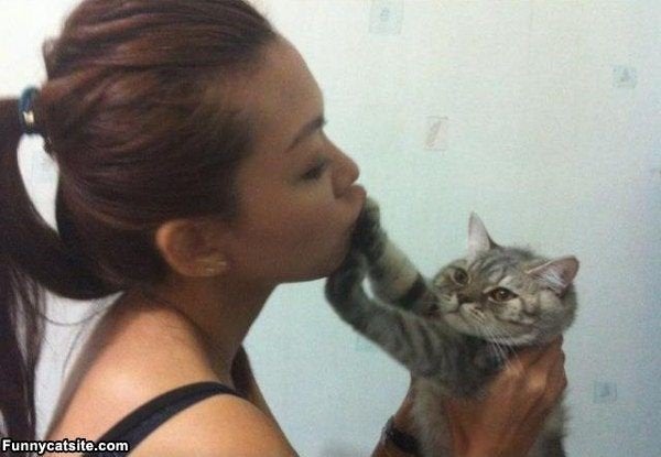 17 Cats Who Love Shushing People (And A Couple Of Dogs) | HuffPost