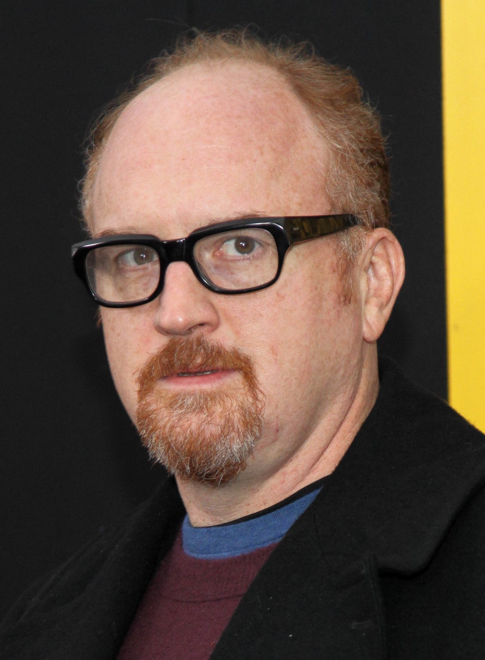 50 Funny People Who Had A Very Good 2013 | HuffPost Entertainment