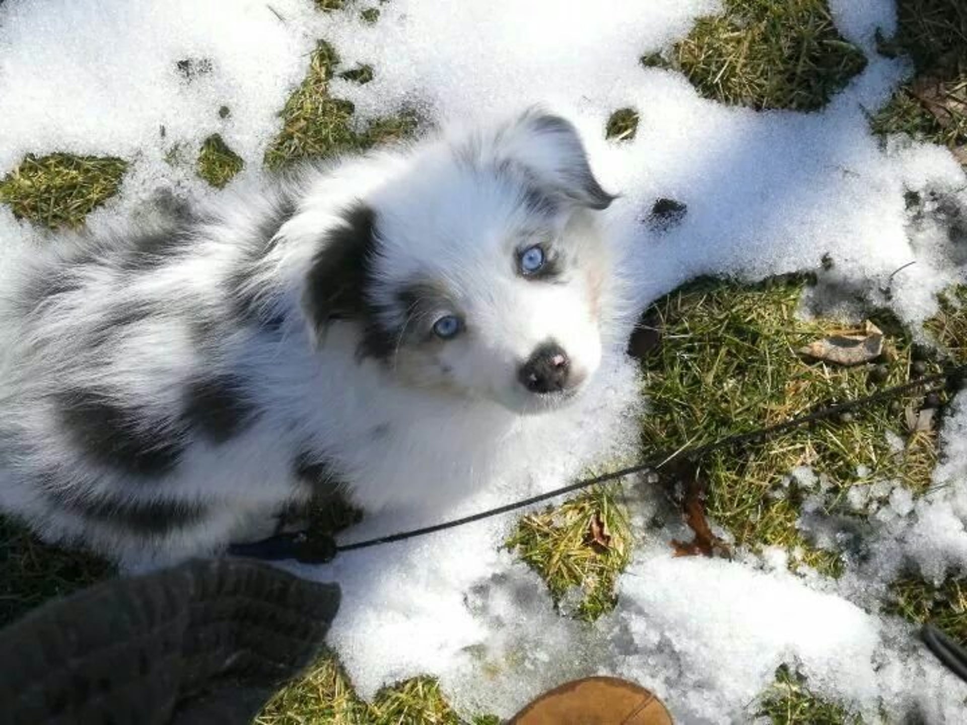 17 Animal Photos That Will Make You Do A Double Take | HuffPost ...