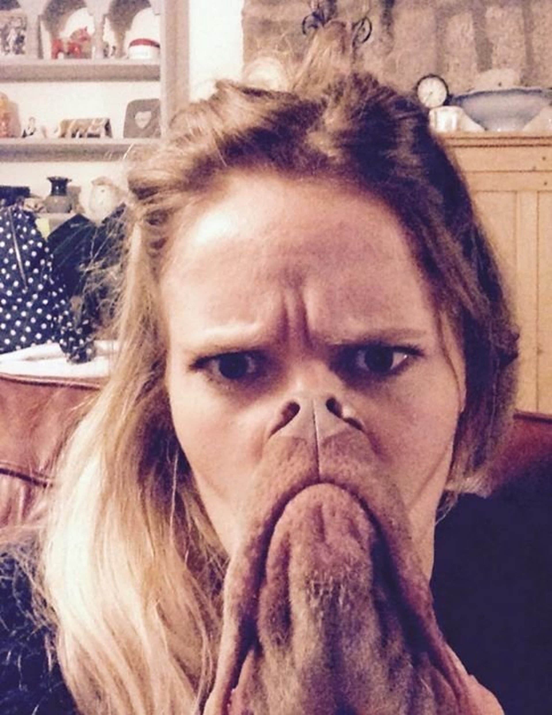 17 Animal Photos That Will Make You Do A Double Take | HuffPost ...