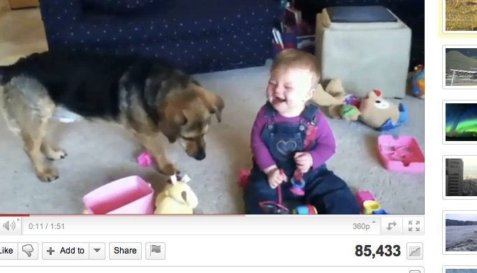 At Half-Speed, Baby Laughing At Dog Biting Bubbles Is Downright Demonic ...