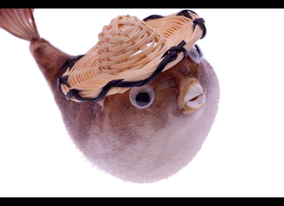 The 9 Funniest 'Crap Souvenirs' of the Month! (PICTURES) | HuffPost ...