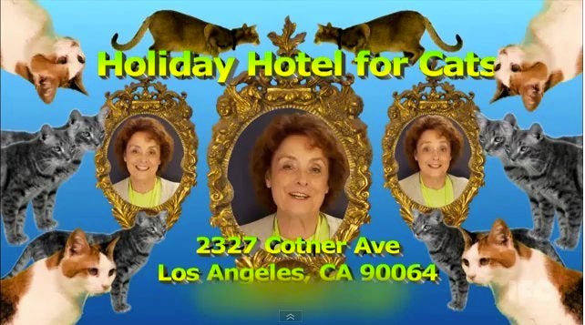 Woman Speaks Cat In Promo For IFC's 'Rhett And Link: Commercial Kings ...