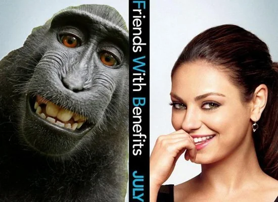 David Monkey's Instagram, Twitter & Facebook on IDCrawl