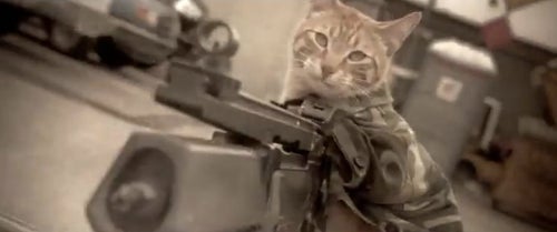 Kittens With Guns Gmod CAT GUN Mod