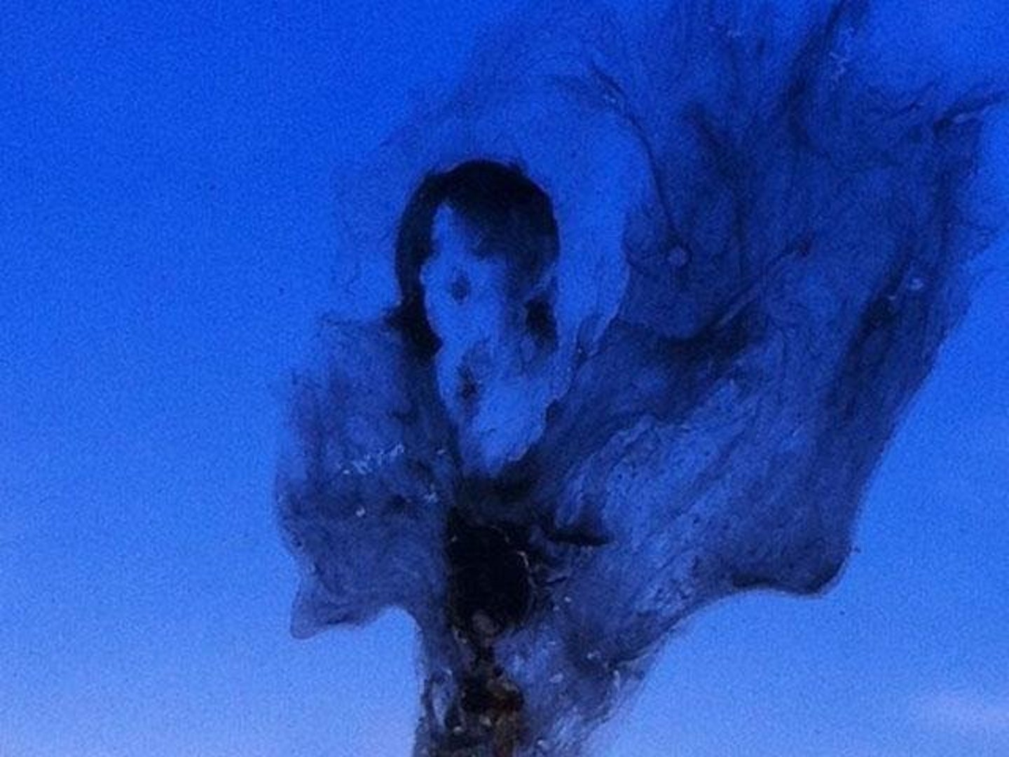 Michael Jackson Bird Droppings Washed From Brandon Tudor's Windshield ...