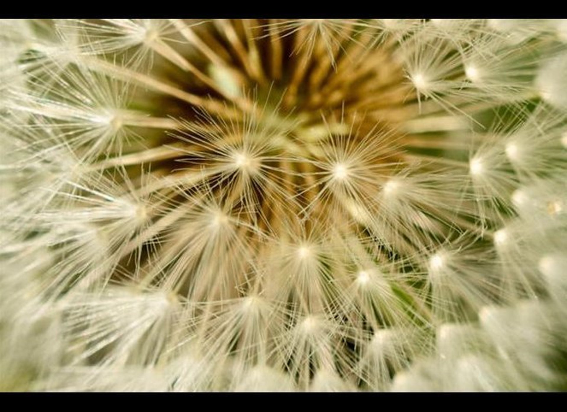 11 Spectacular Photos That Make Microscopic Realm Look Enormous ...
