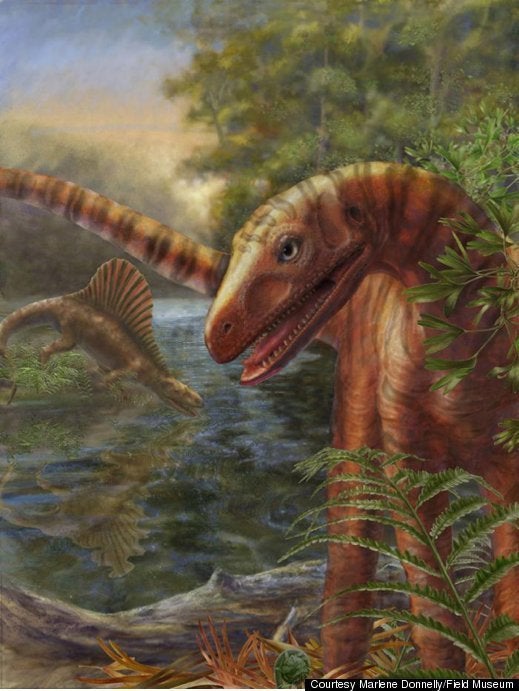 Asilisaurus Fossil Predates Dinos By 10 million Years | HuffPost College