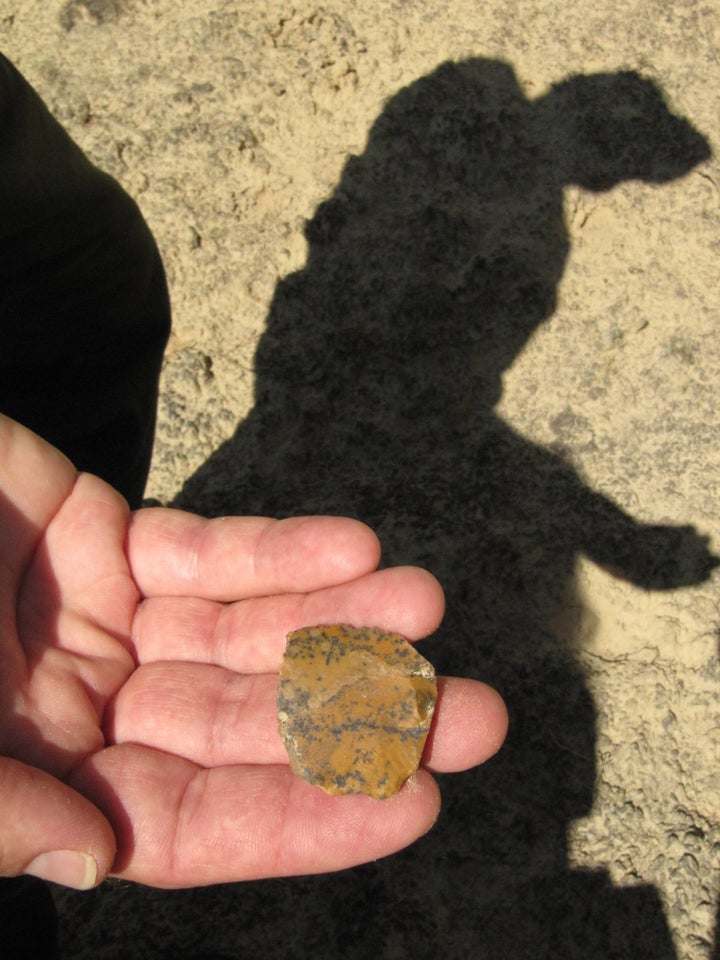 Daniel Amick, Loyola Professor, Pleads Guilty To Stealing Artifacts ...