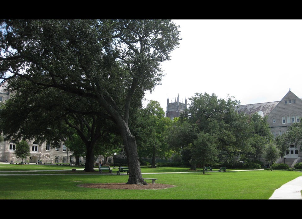 The Top 10 Destination Schools | HuffPost College