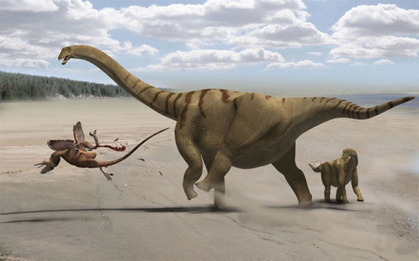 Dinosaurs Skewed Bigger Than Modern-Day Species, New Research Suggests ...