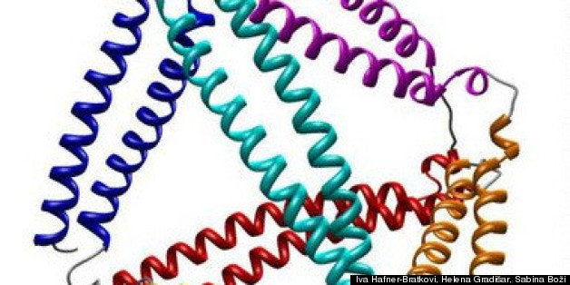 'Protein Origami' Bioengineering Technique Allows Molecular Building ...