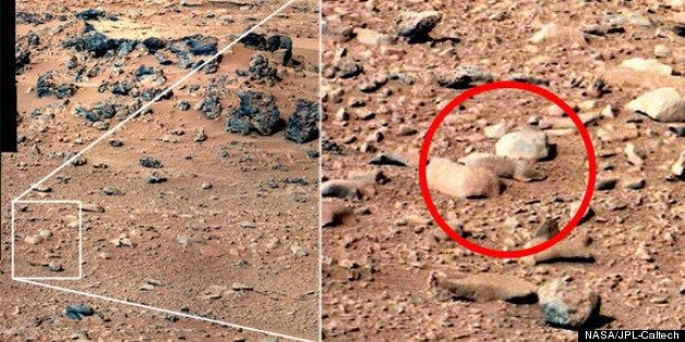 Photos From Mars Rat