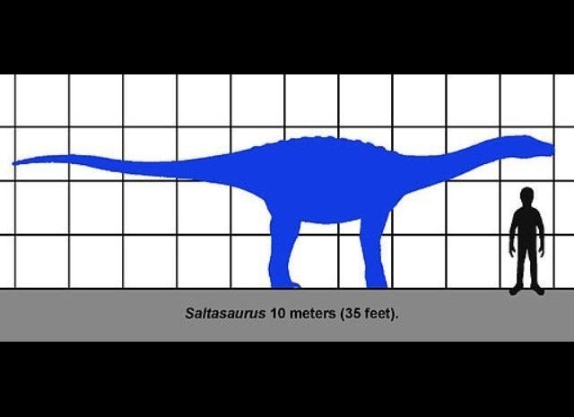 Sauropod Slideshow: How Big? How Tall? And How Did It Happen ...