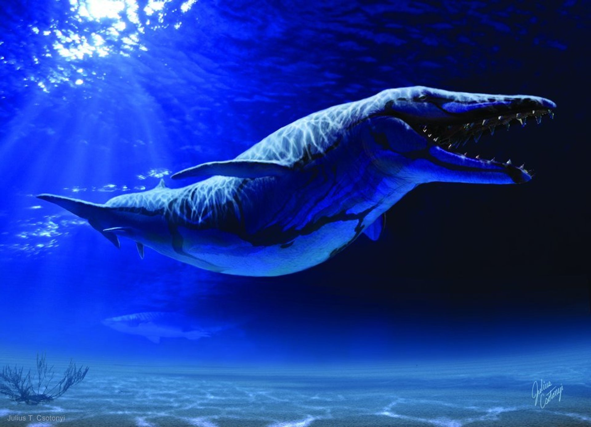 Stunning 'Paleoart' Will Beam You Back Into A Ferocious Prehistoric ...