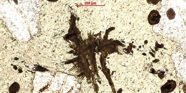 Traces Of Some Of The 'Oldest Life' On Earth May Not Have Biological ...