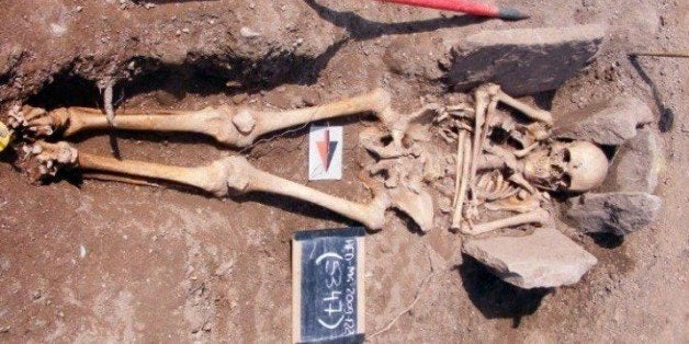 This Medieval Skeleton May Belong To A Knight Who Died While Jousting ...