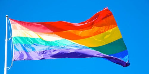 Unlabeled Pride Flag Day On X: "@sambergmulaney This Is A Flag Of