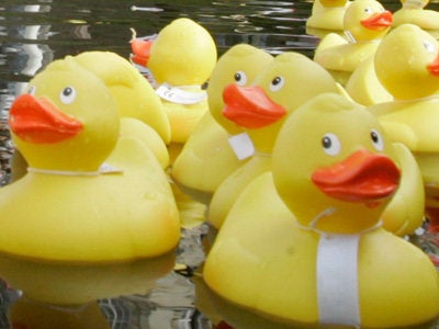 Climate Science Aided By Rubber Ducks | HuffPost Impact