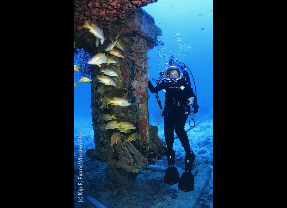 One World One Ocean: 'Shining A Spotlight On The World's Only Undersea ...