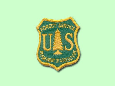 Forest Service Starts Spending Stimulus Funds | HuffPost Impact