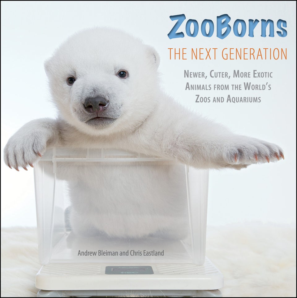 'ZooBorns: The Next Generation' Shows Off Photos Of Adorable, Furry ...