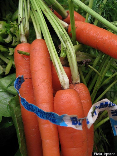 Carrots Cause Bomb Scare | HuffPost Impact