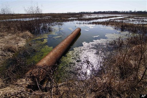 Exxon To Invest Millions To Make Fuel From Algae | HuffPost Impact