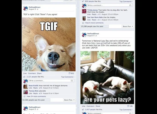 Funny Animal Facebook Pictures To Share